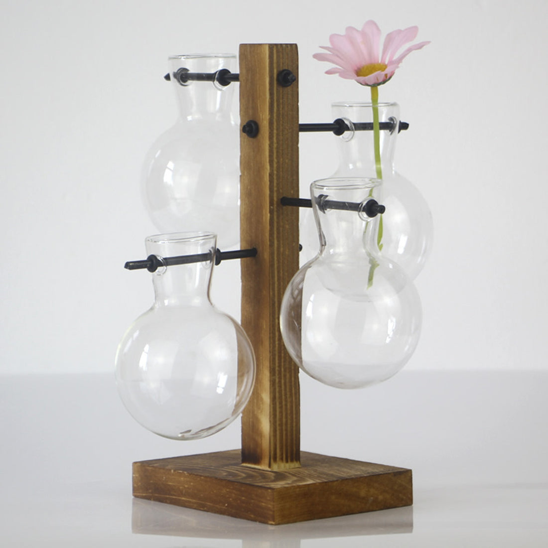4 glass bulb propagation station – Leaf and Leisure